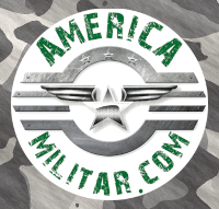 Futuras Plataformas Estratégicas de Superficie (P.E.S.) de la ARC ...